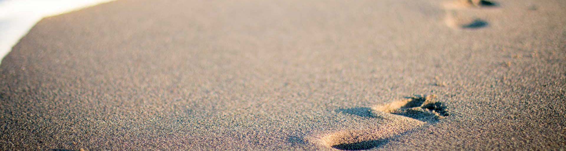 Professional Services | Bright Spark Health